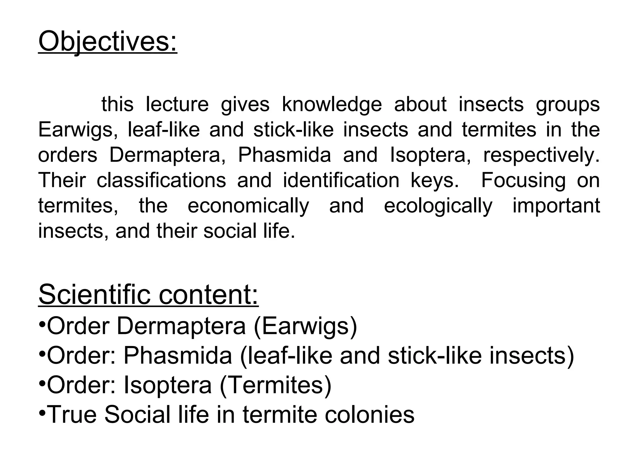 Insect classification lab19 | PPT