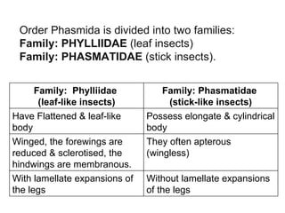 Insect classification lab19 | PPT