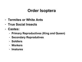 Insect classification lab19 | PPT