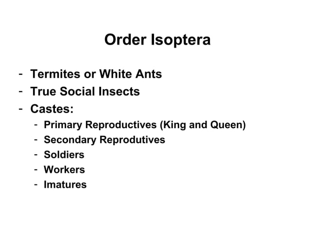 Insect classification lab19 | PPT