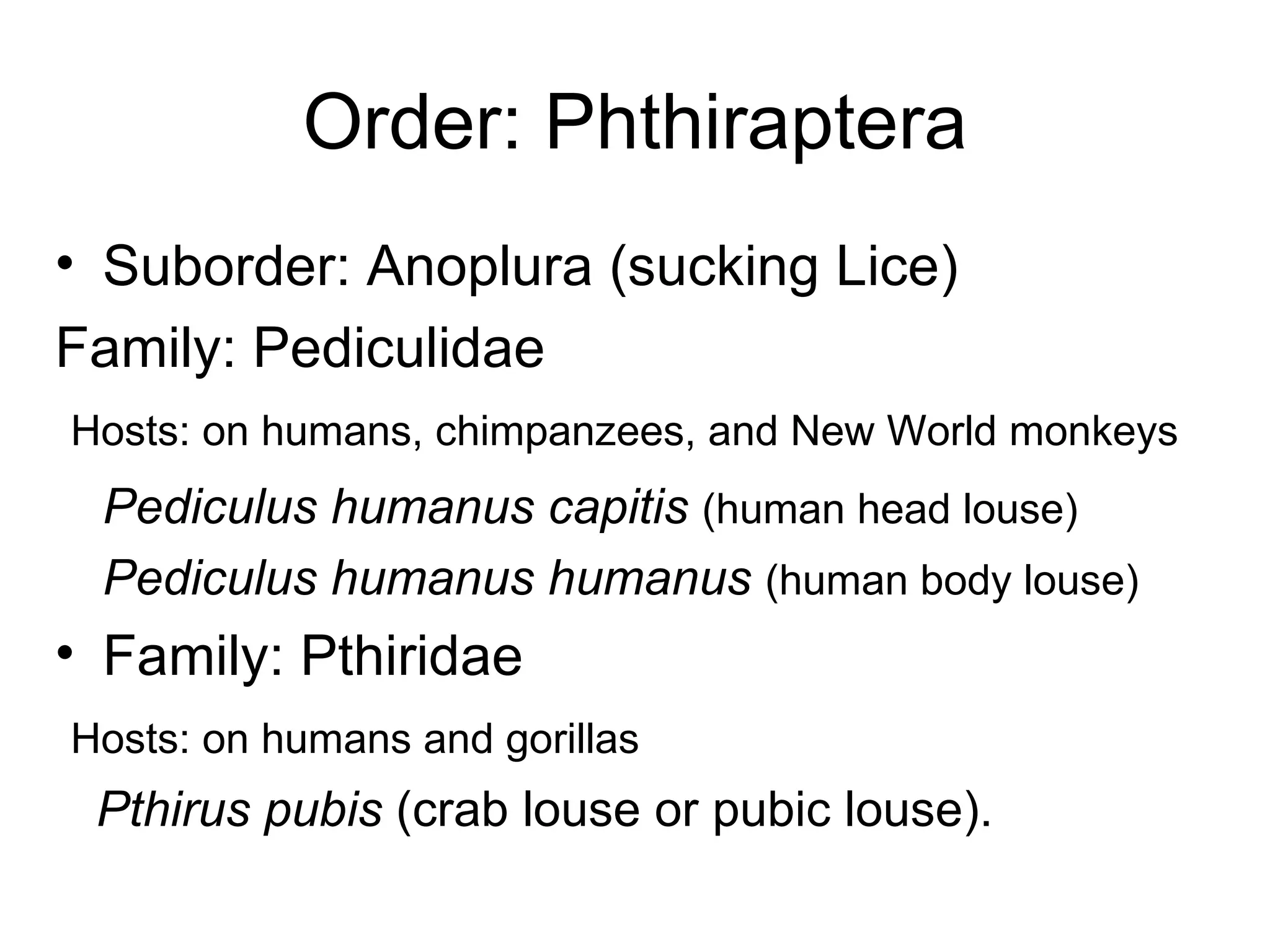 Insect classification lab20 | PPT