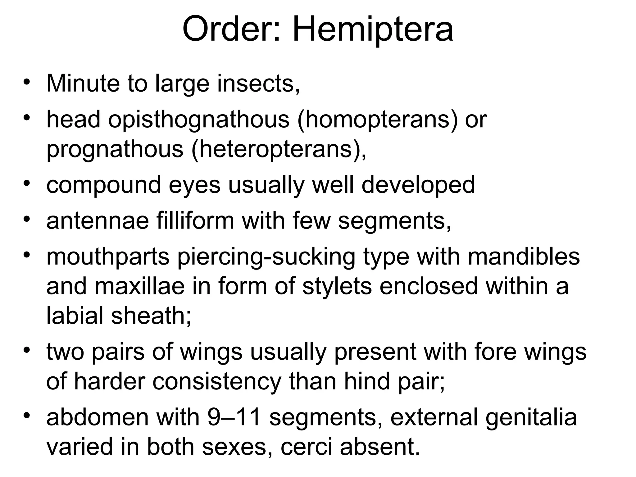 Insect classification lab20 | PPT