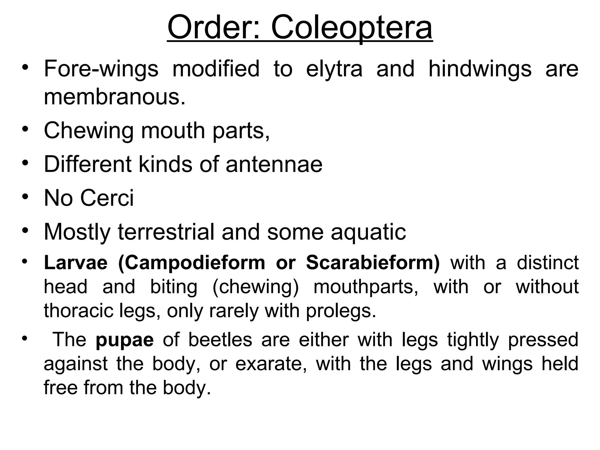 Insect classification lab22 | PPT