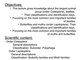 Insect classification lab22 | PPT