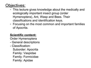 Insect classification lab24 | PPT