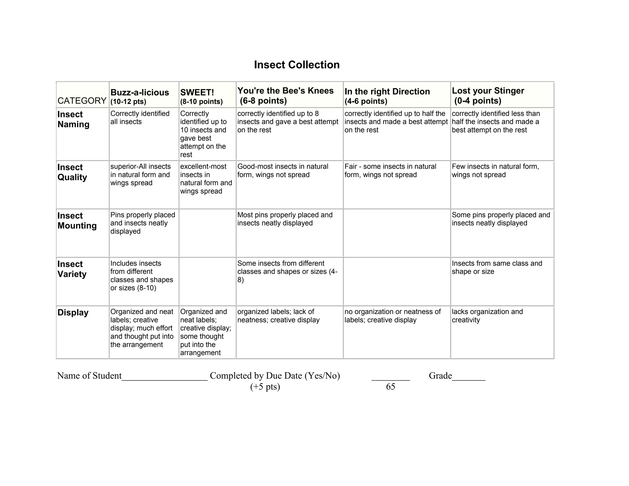Insect Collection Rubric.doc