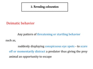 Insect colouration | PPTX