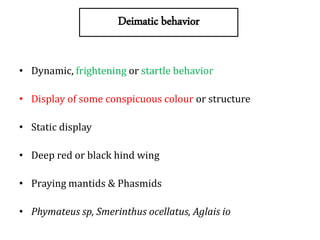 Insect colouration | PPTX