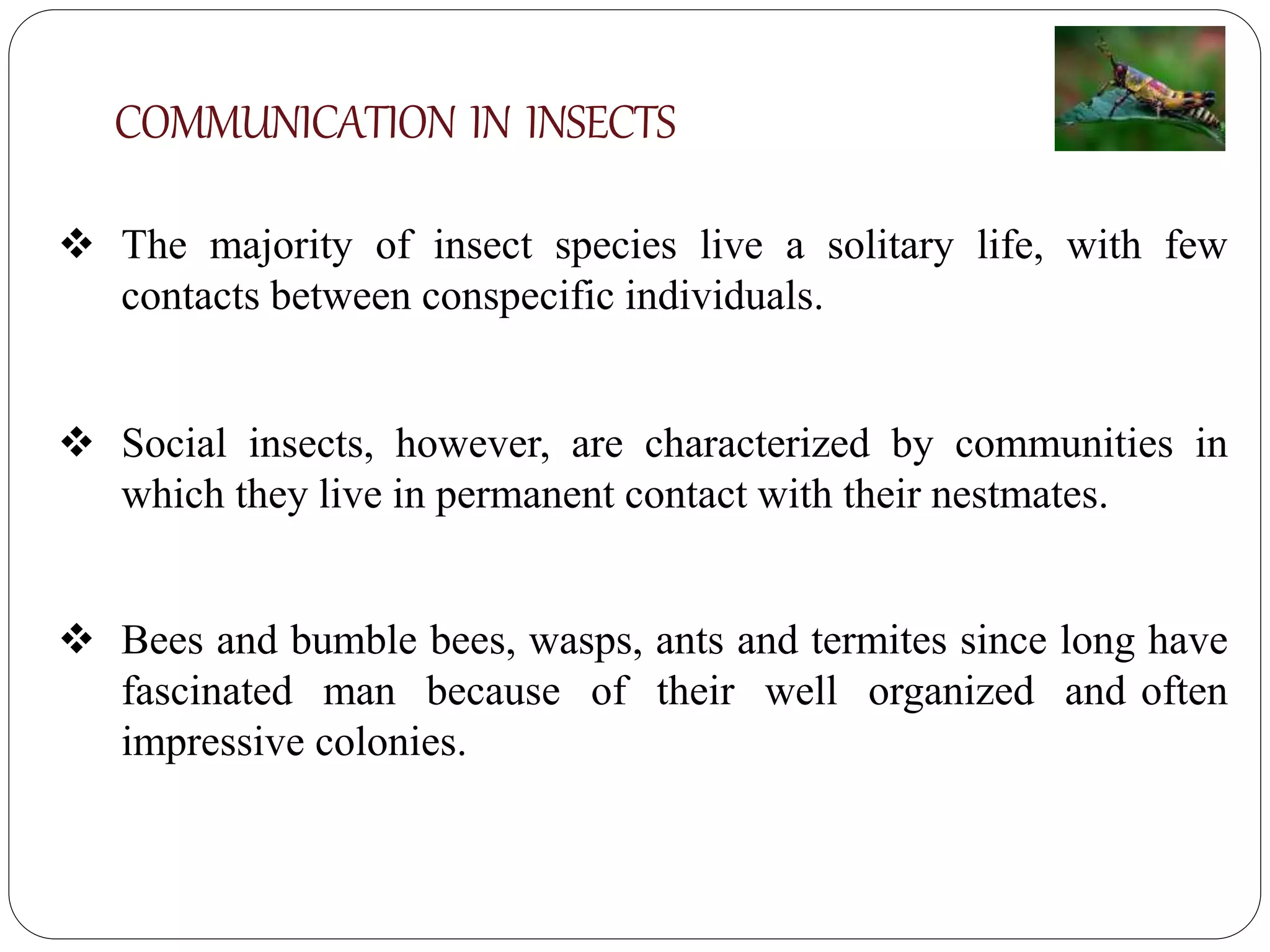 Insect communication | PPTX