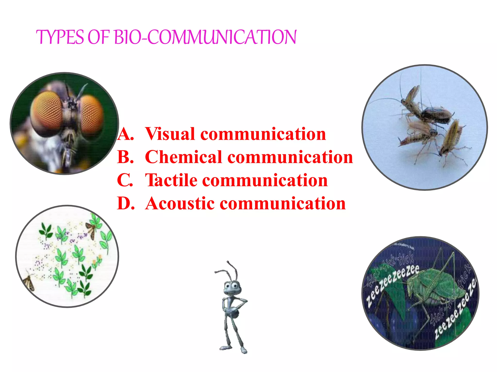 Insect communication | PPTX