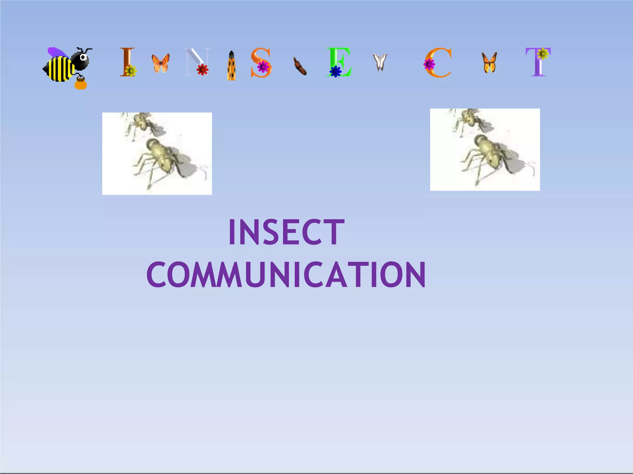 insect_communication_lecture_2_0.pptx