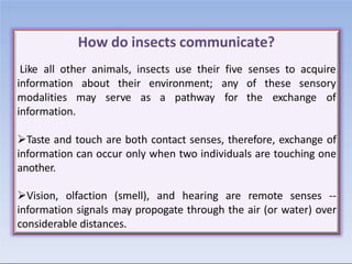 insect_communication_lecture_2_0.pptx