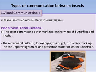 insect_communication_lecture_2_0.pptx