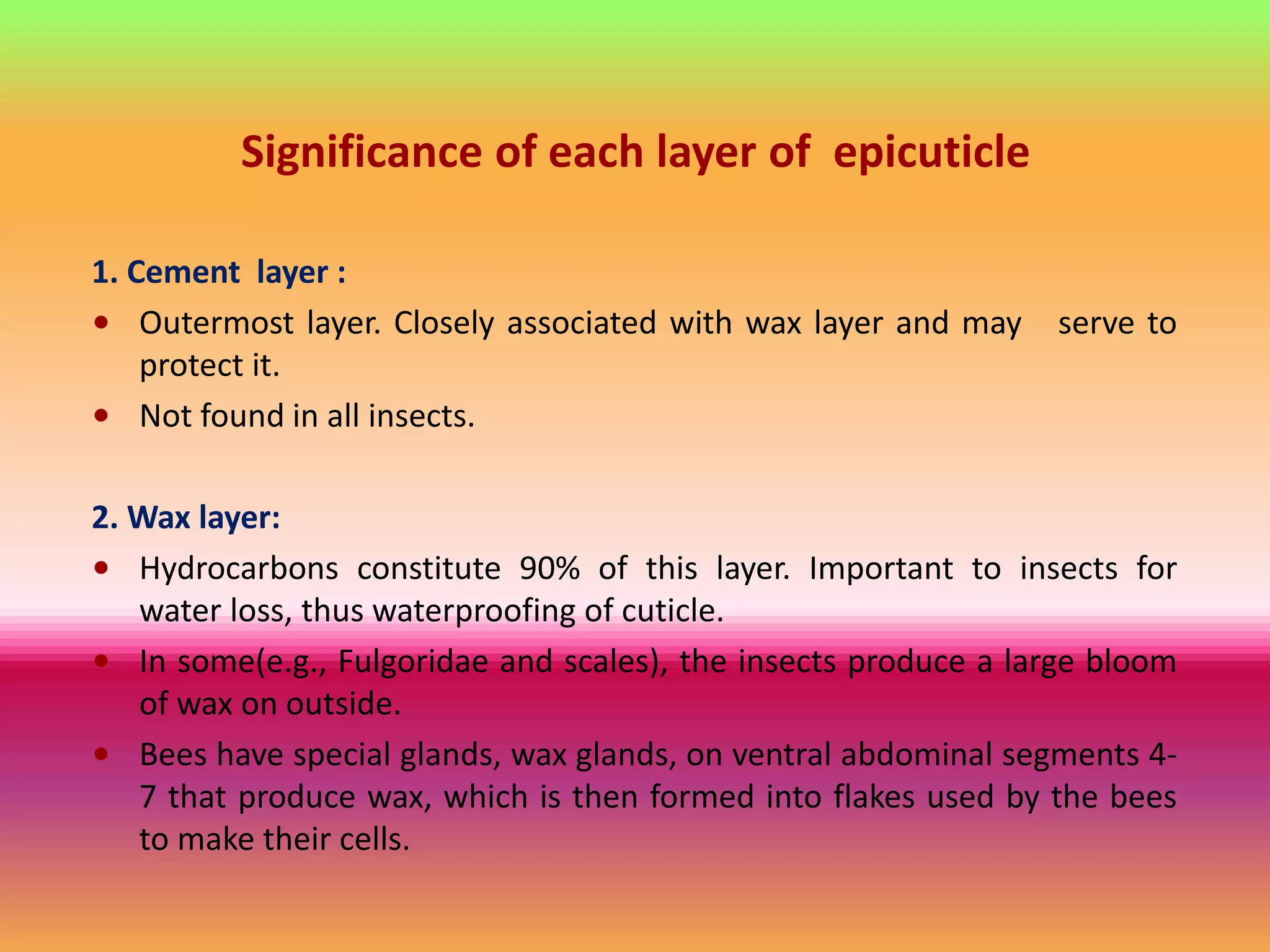 Insect Cuticle or The Insect Integument.pptx