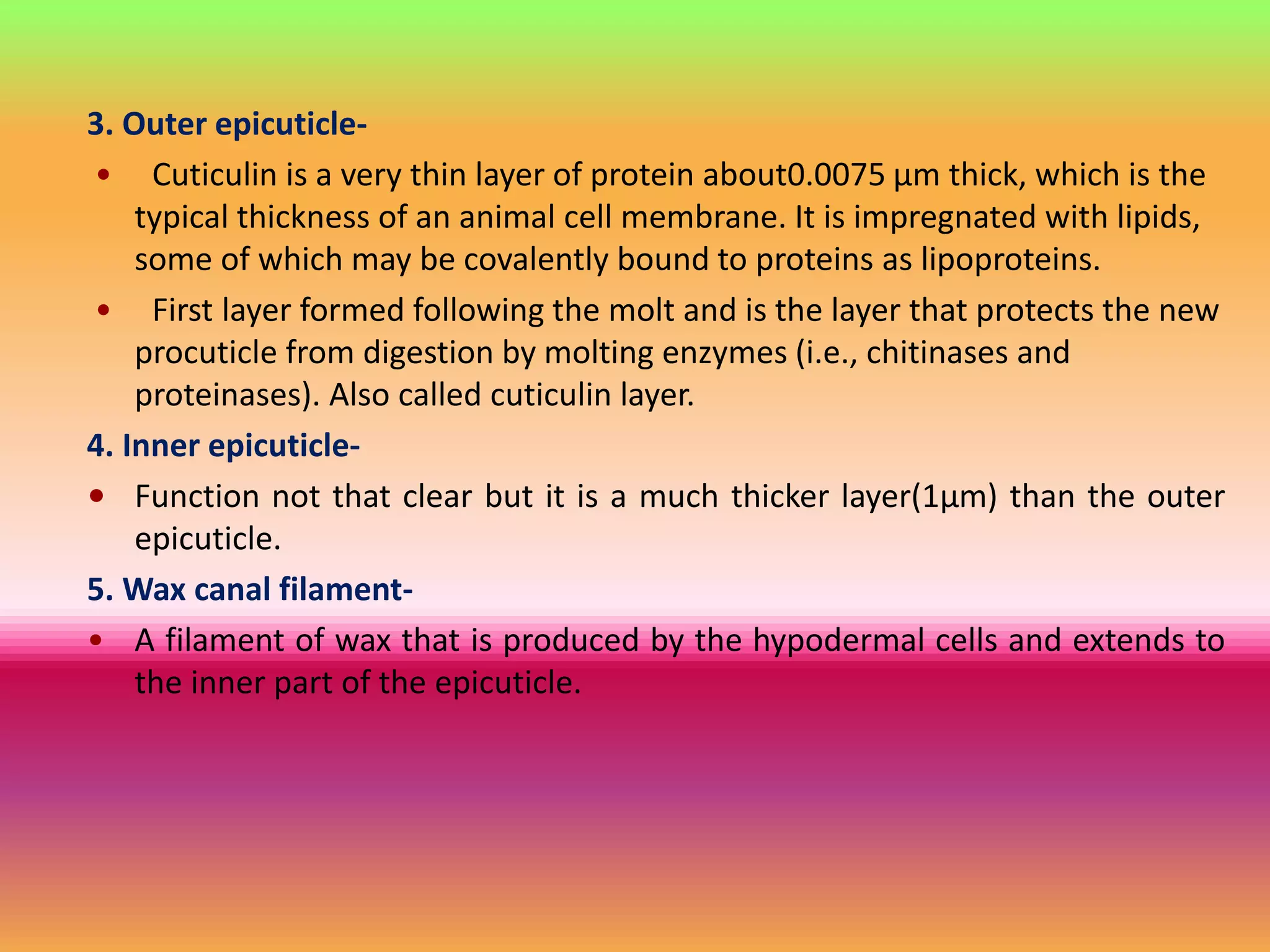 Insect Cuticle or The Insect Integument.pptx
