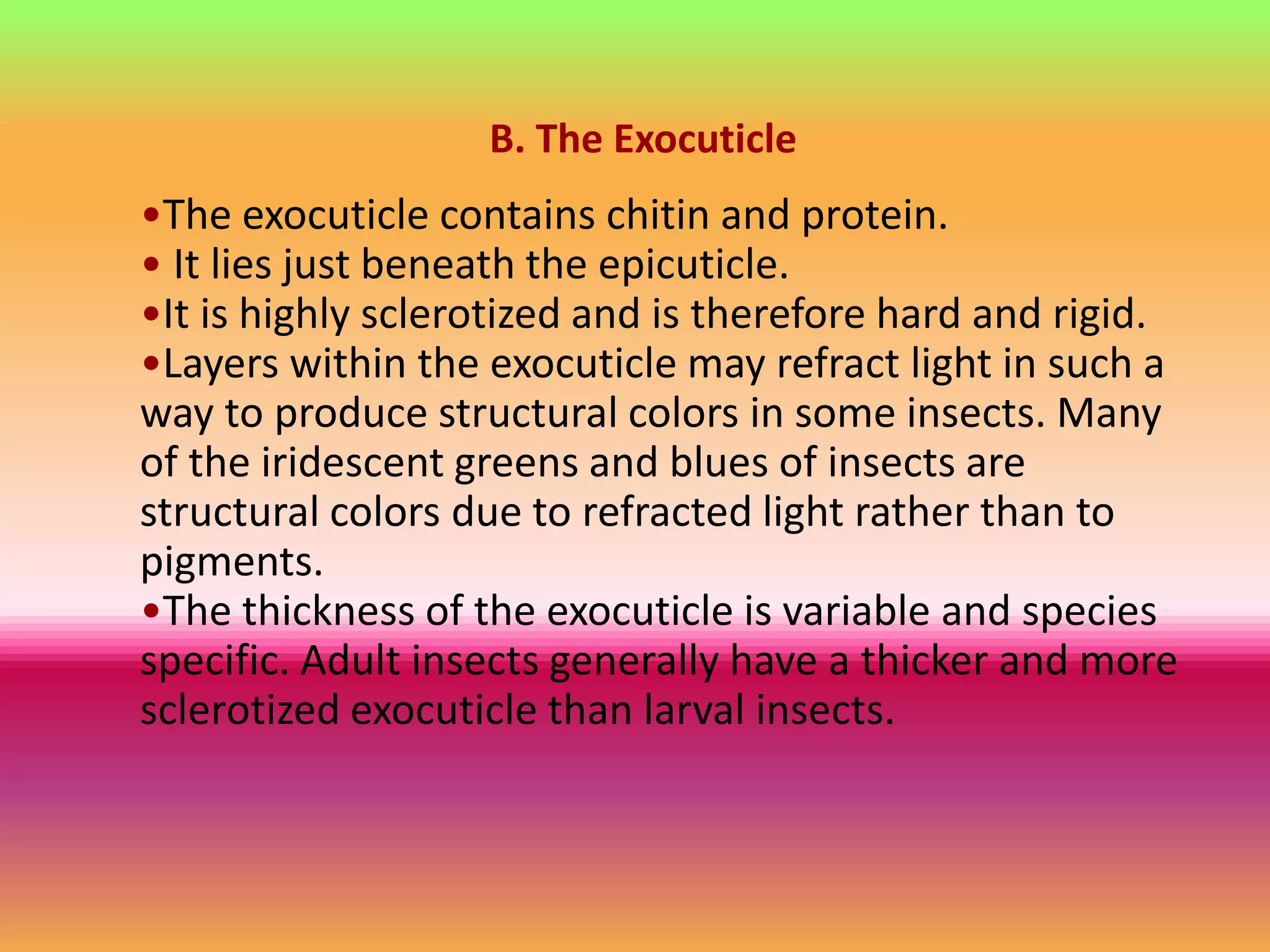 Insect Cuticle or The Insect Integument.pptx