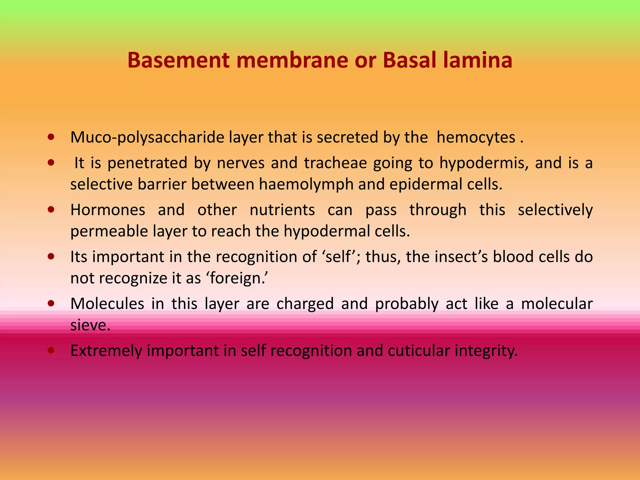 Insect Cuticle or The Insect Integument.pptx