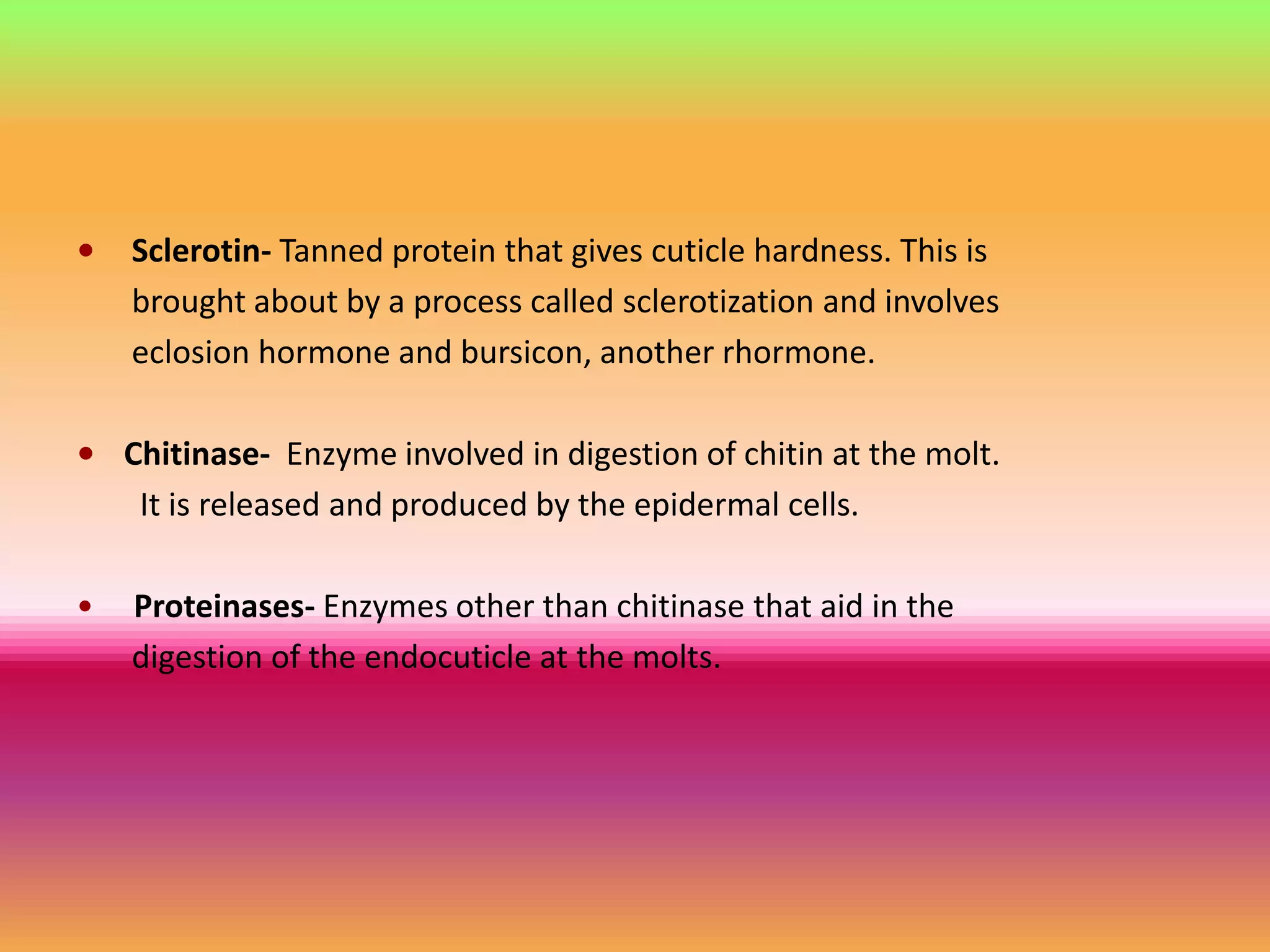 Insect Cuticle or The Insect Integument.pptx