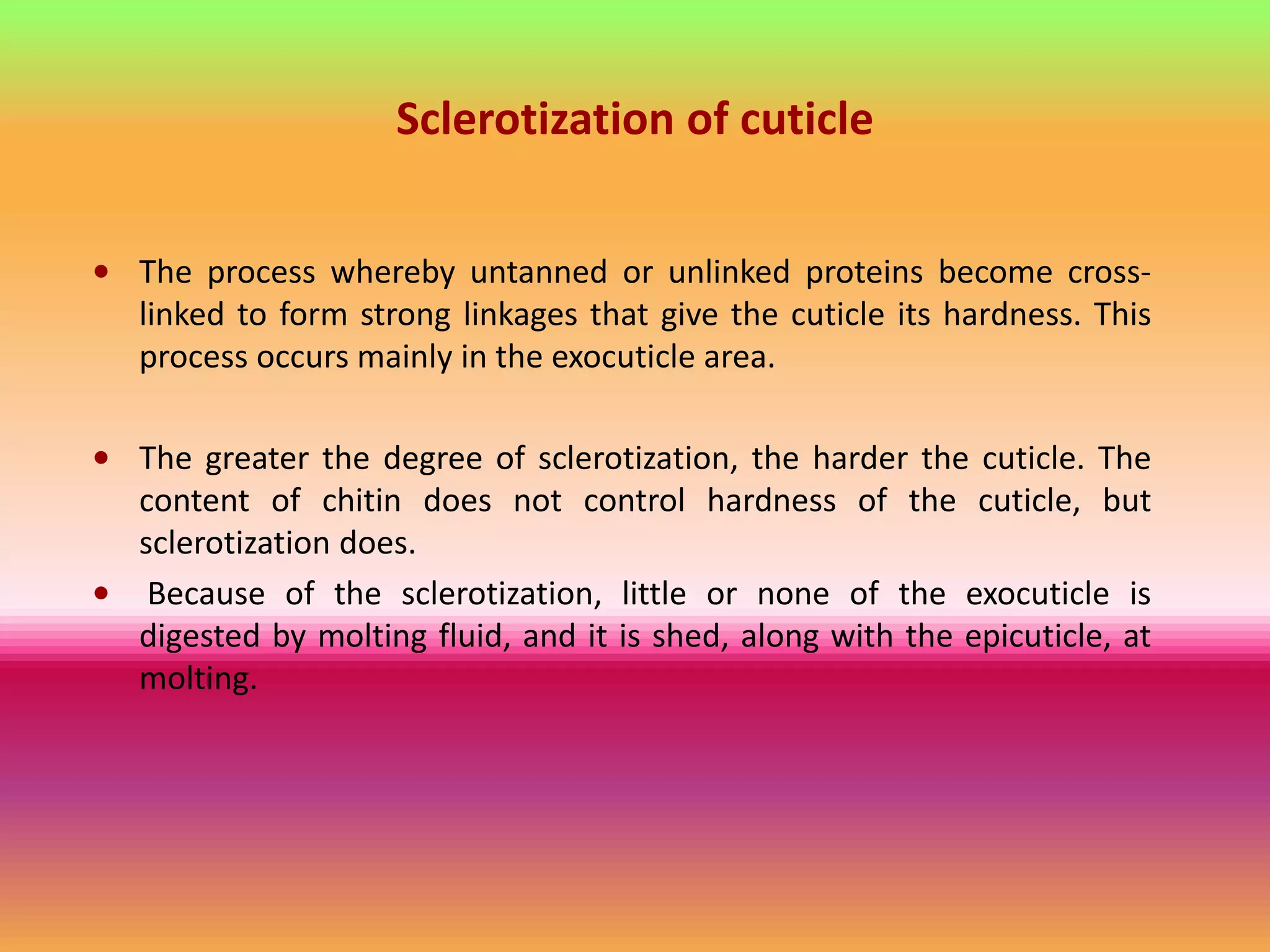 Insect Cuticle or The Insect Integument.pptx