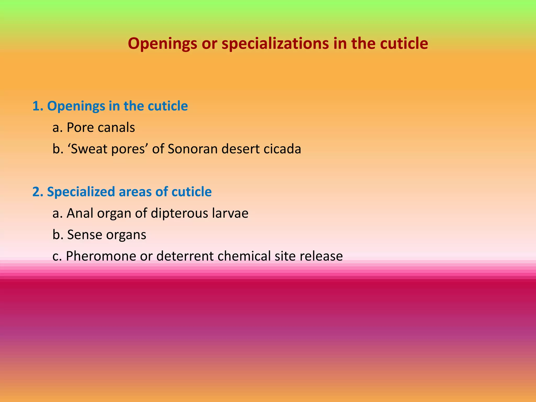 Insect Cuticle or The Insect Integument.pptx