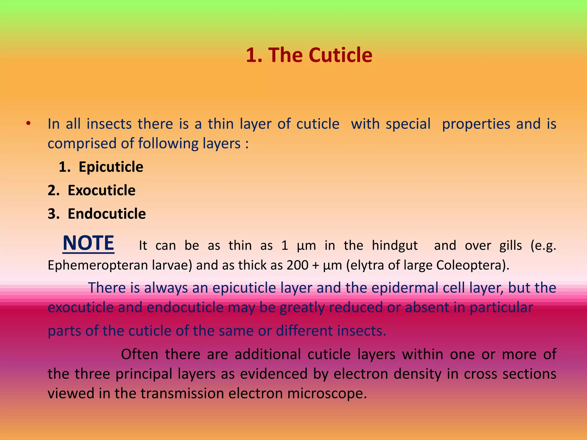 Insect Cuticle or The Insect Integument.pptx