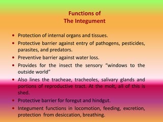 Insect Cuticle or The Insect Integument.pptx