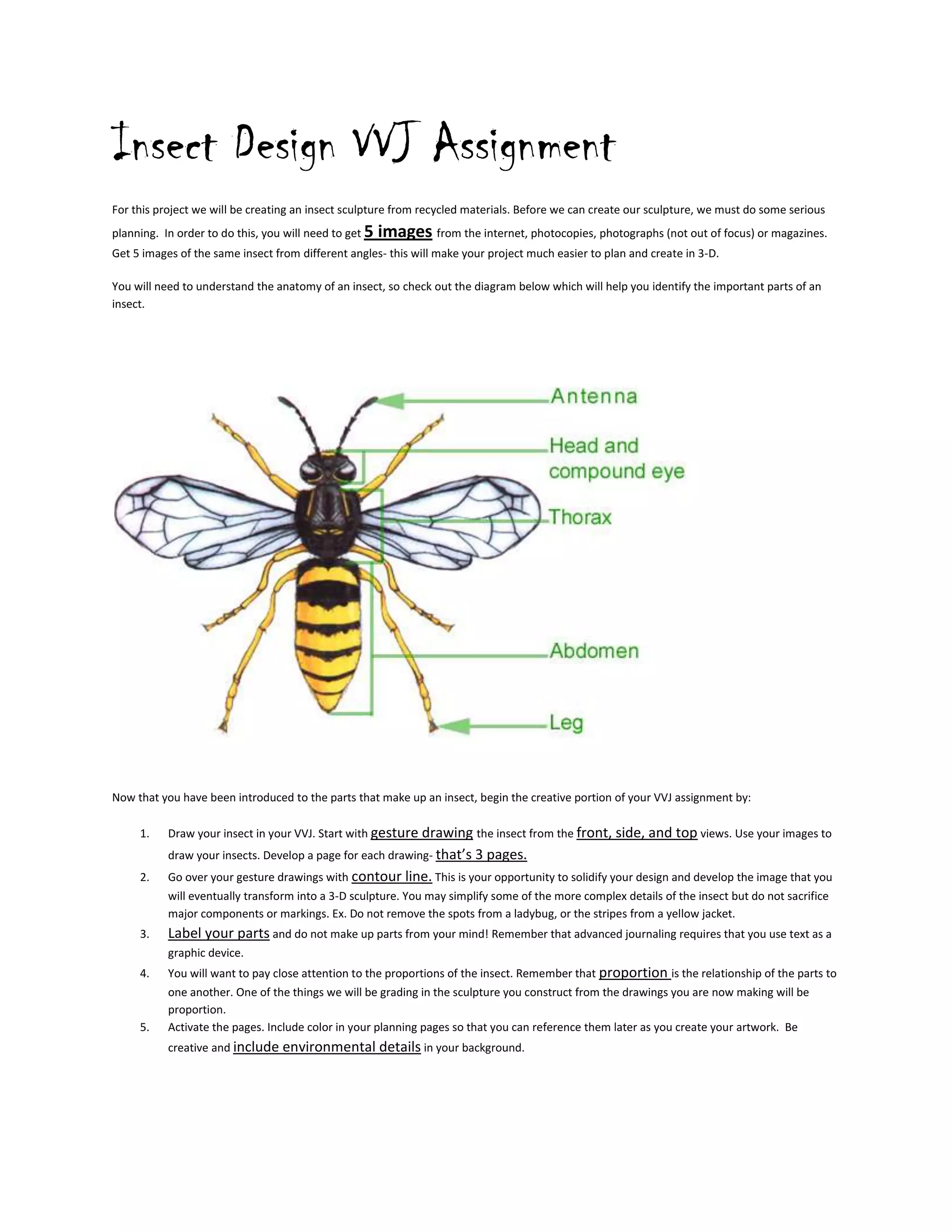 Insect design vvj assignment | DOCX
