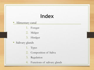 Insect digestive system | PPT