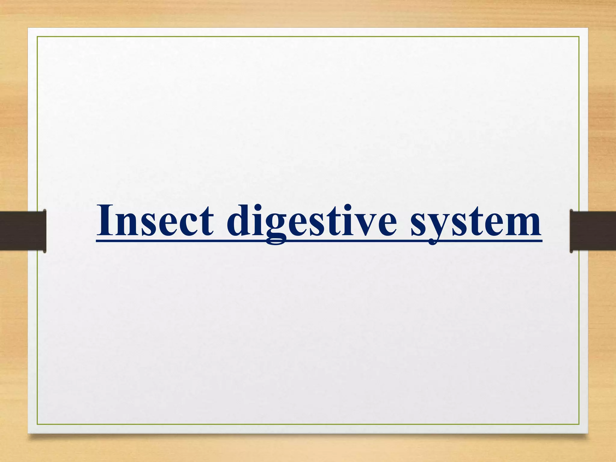 Insect digestive system associated glands | PPT