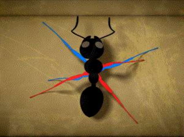 insect dominance.pptx | Biological Sciences | Science
