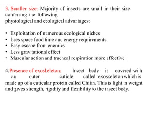 insect dominance.pptx