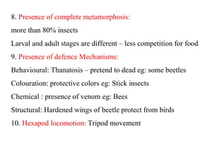insect dominance.pptx