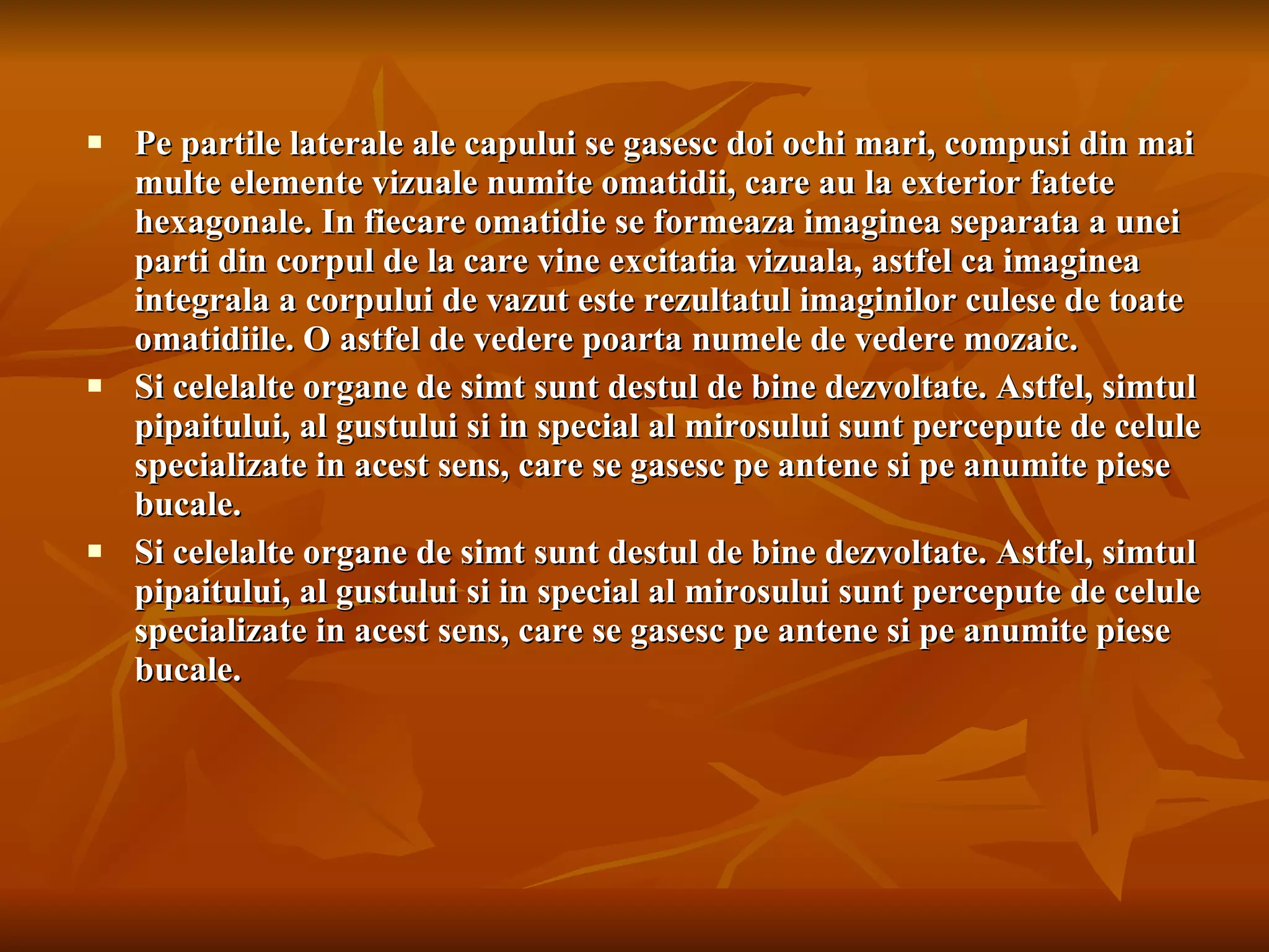 Insecte prodan gabi | PPT