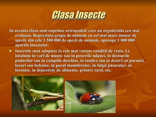 Insecte prodan gabi | PPT