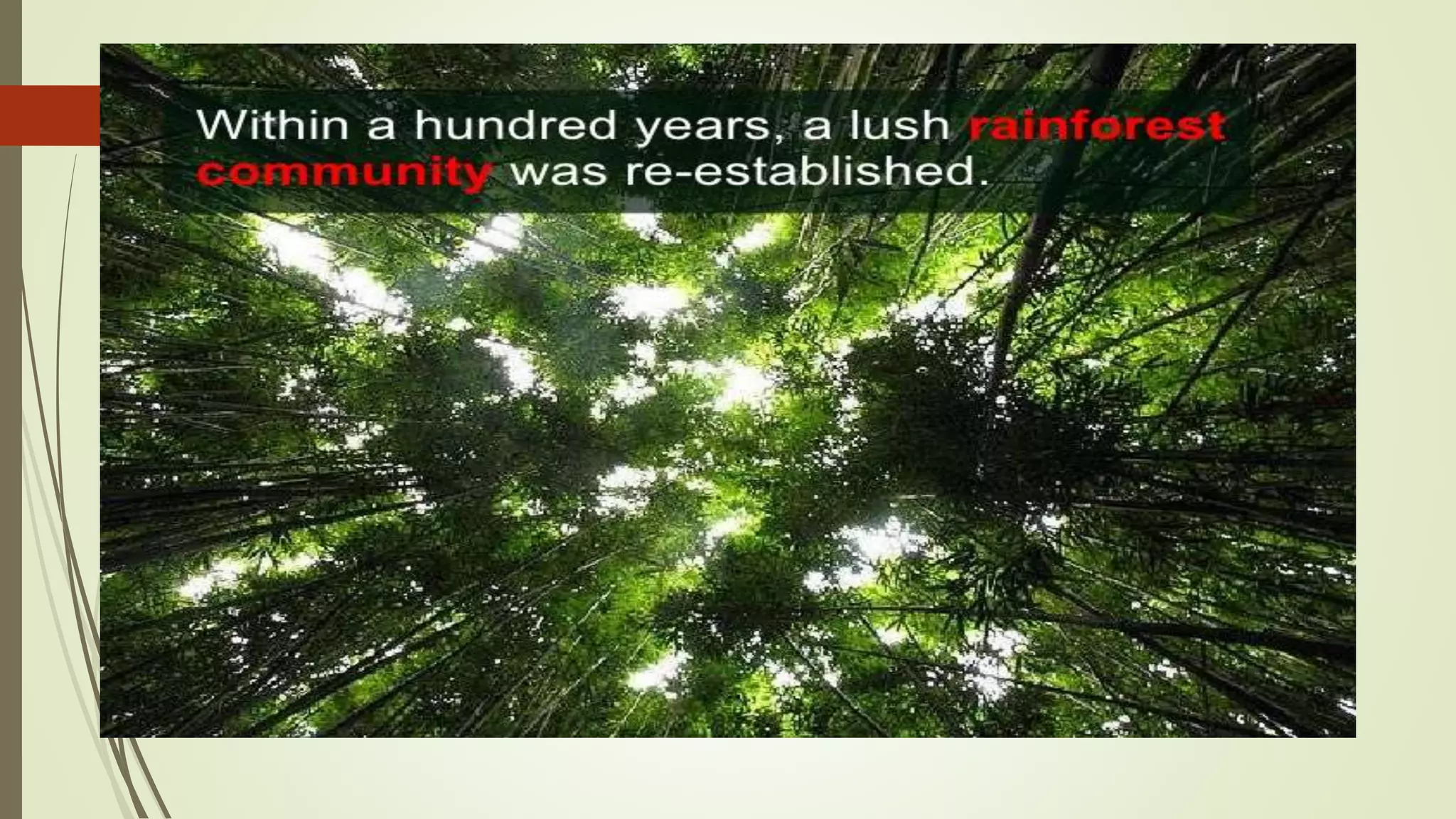 Insect ecological succession | PPTX