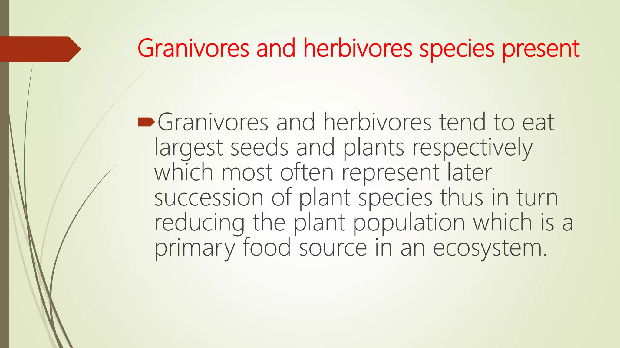 Insect ecological succession | PPTX