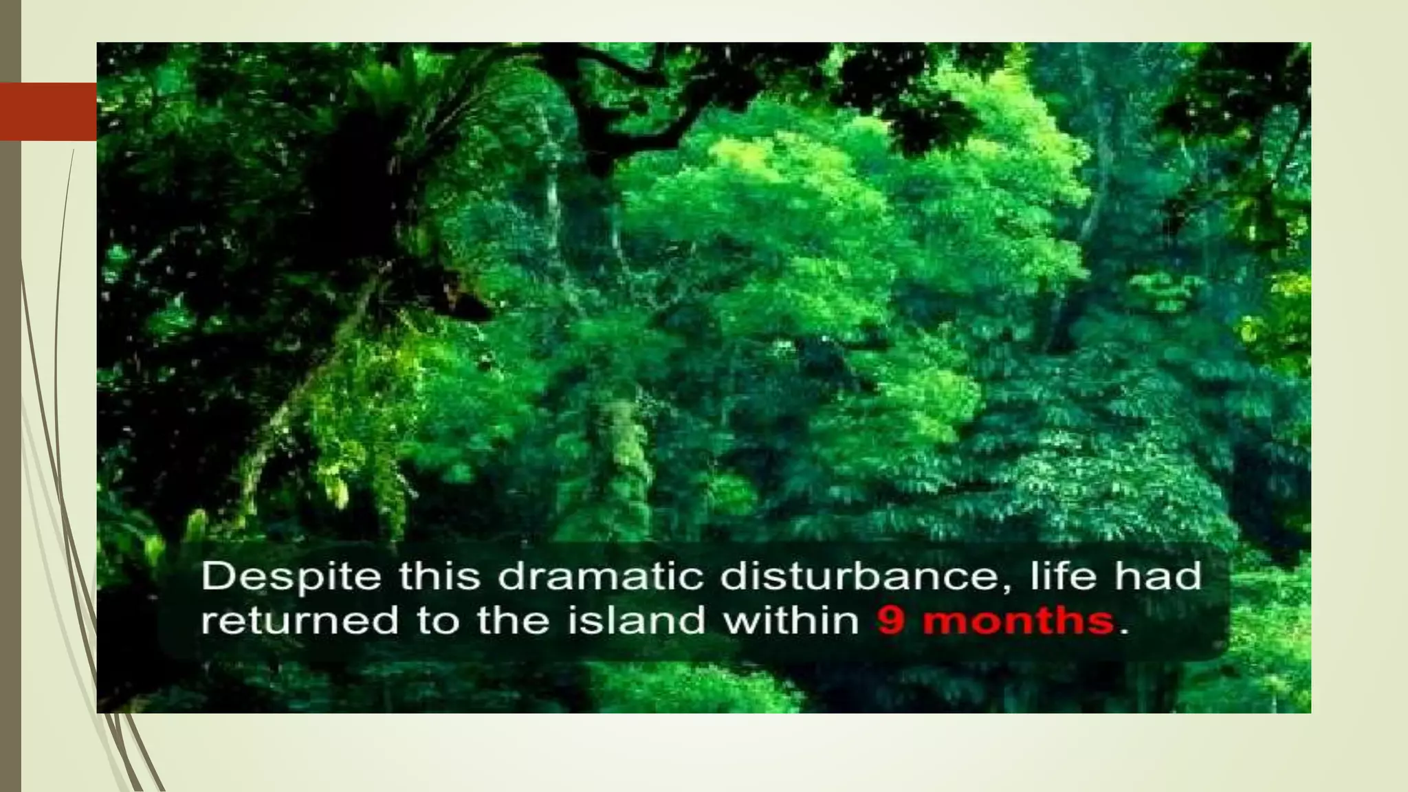 Insect ecological succession | PPTX