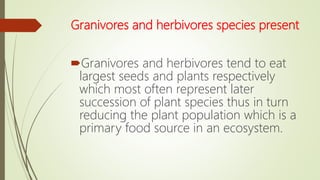 Insect ecological succession | PPT