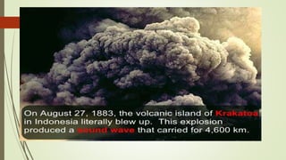 Insect ecological succession | PPT