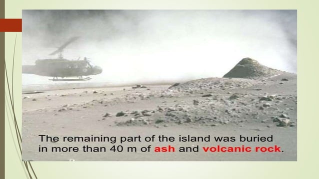 Insect ecological succession | PPTX | Gardening | Home & Garden