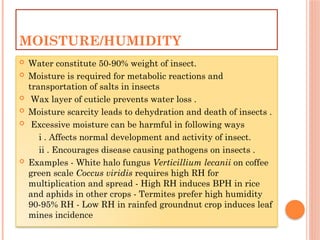 insectecology abiotoc factors and its .pptx