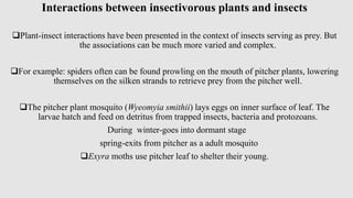 Insect ecology presentation | PPTX