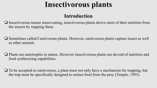 Insect ecology presentation | PPTX