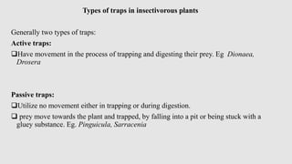 Insect ecology presentation | PPTX