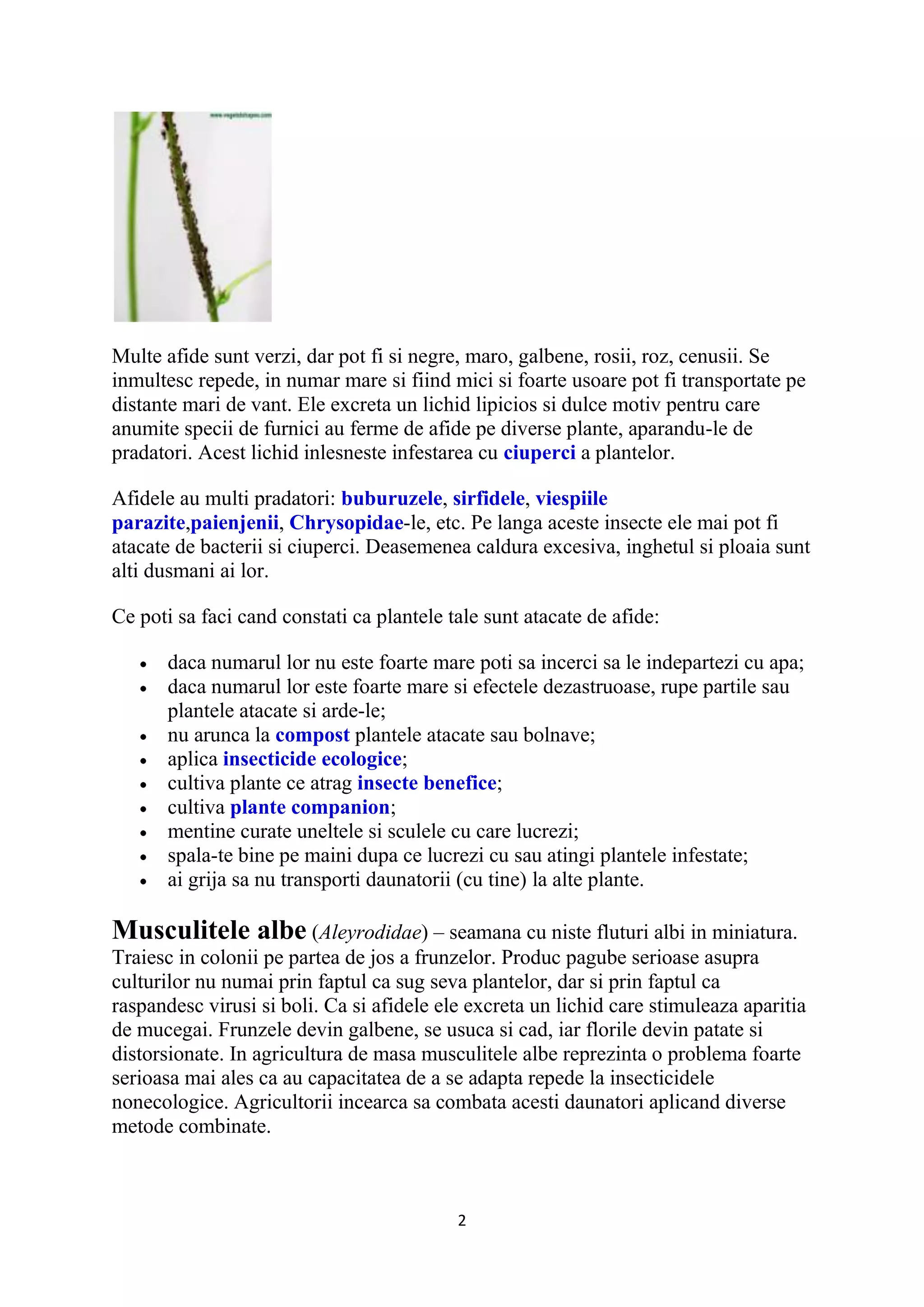 Insecte daunatoare | PDF