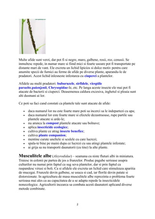 Insecte daunatoare | PDF