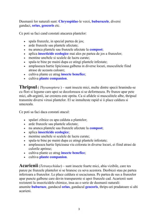 Insecte daunatoare | PDF