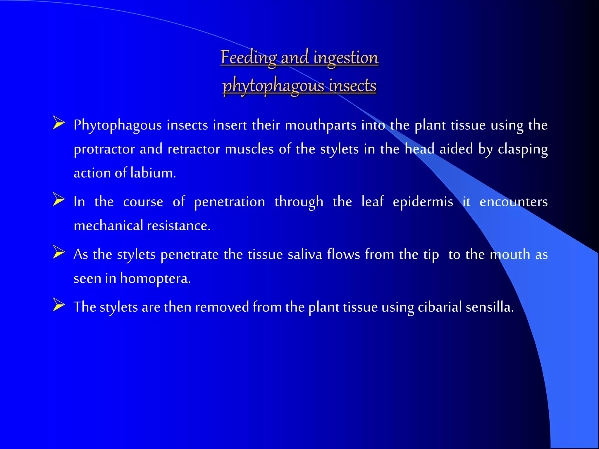 Insect feeding mechanism | PPTX