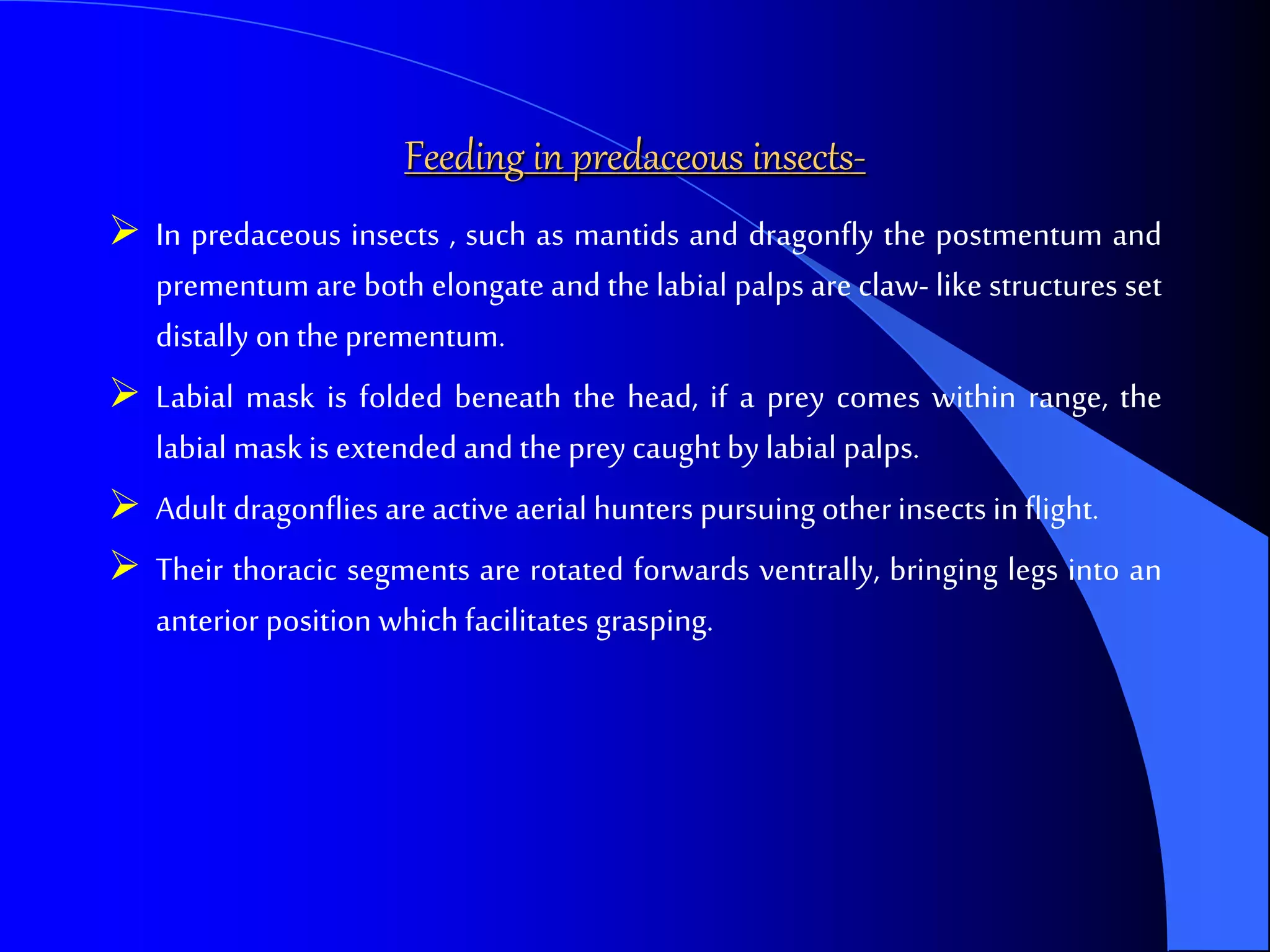 Insect feeding mechanism | PPTX
