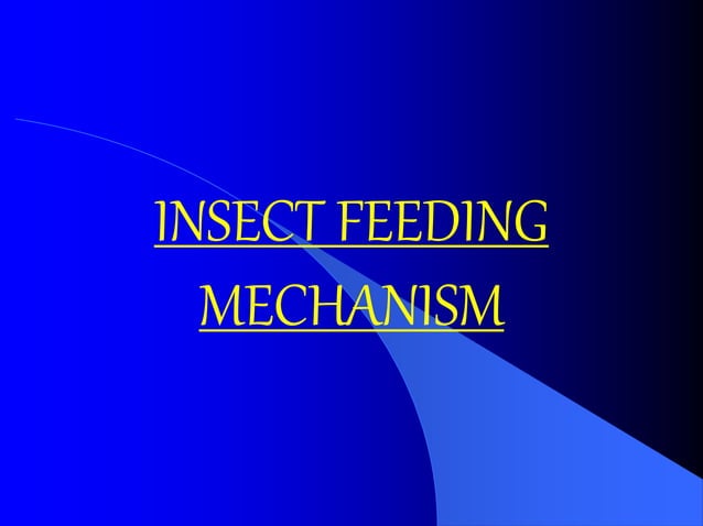 Insect feeding mechanism | PPTX